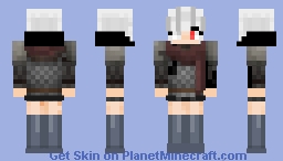 Z in armor Minecraft Skin
