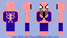 The Sam Raimi Spider Man Skin Minecraft Skin
