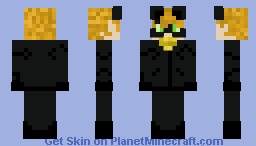 Cat Noir Minecraft Skin