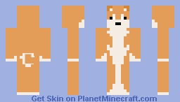 Shiba Inu Minecraft Skin