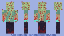 2020 Minecraft Skin