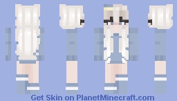 Bridge skin Minecraft Skin