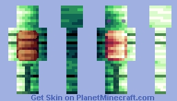 Turtle Minecraft Skin
