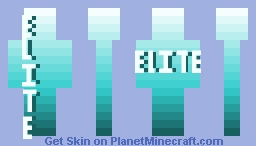 Now Taking Requests! Minecraft Skin