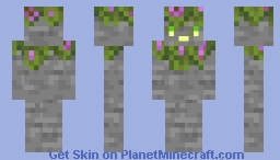 cave spirt Minecraft Skin