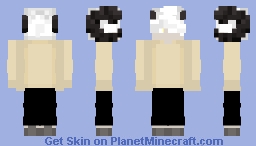 Radio Minecraft Skin