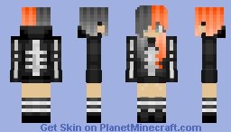 First Skin of Theme 1 Minecraft Skin
