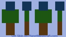 AloKin 1x1 Minecraft Skin