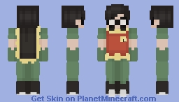 Robin Minecraft Skin