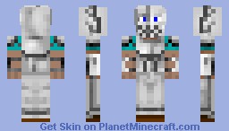 Armored Steve Minecraft Skin