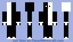 Black and White Minecraft Skin
