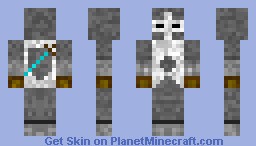 Castle Crashers Grey Knight Minecraft Skin