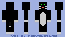 Cat Skin Minecraft Skin