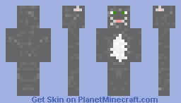 Cat Man Minecraft Skin