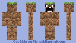 Dirt Minecraft Skin