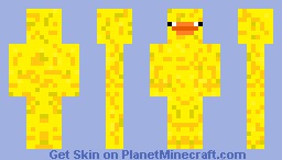 Duck... Minecraft Skin