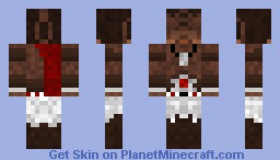 Assasins Creed Minecraft Skin