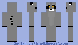 Raccoon skin (Few changes) Minecraft Skin