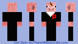 Harry Porker Minecraft Skin