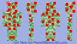 Holly Wreath (Holiday Skin Series) Minecraft Skin