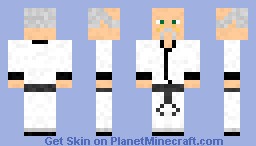 Martial Master Minecraft Skin