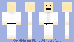 Karate Minecraft Skin