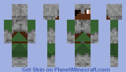 Castle Defender (Knight) Minecraft Skin