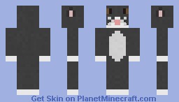 Cool Cat Minecraft Skin