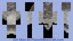 Moon ( Scenery Editions ) Minecraft Skin
