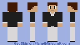 Party Minecraft Skin