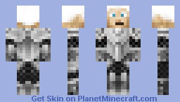 Paladin Minecraft Skin