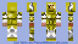 Paladin Minecraft Skin
