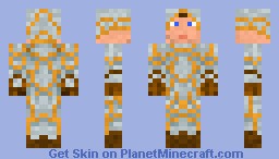 Kindly Paladin Minecraft Skin