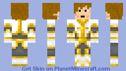 Paladin Minecraft Skin