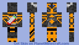 New paladin Minecraft Skin
