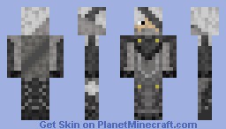 Raiden Minecraft Skin