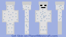 Salt Minecraft Skin