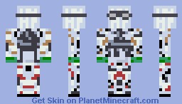 Snow soldier Minecraft Skin