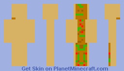 Taco Minecraft Skin