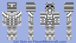 Tempel Ritter Minecraft Skin