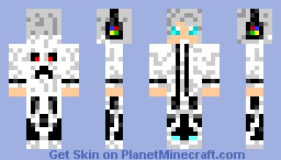 RAY Minecraft Skin