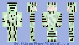 Tiger Shark Minecraft Skin