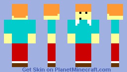 Tin Tin Minecraft Skin