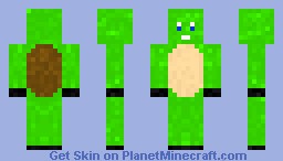 Turtle Minecraft Skin