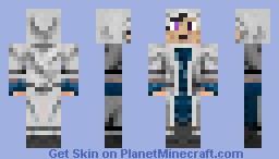 Wizard Minecraft Skin