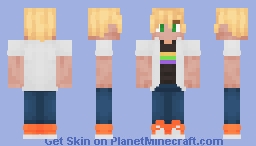 Adrien Agreste Miraculous Minecraft Skin