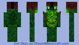 Turtle Helmet Frog Minecraft Skin