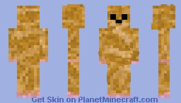 ginger cat Minecraft Skin