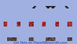 Ms.invisible Minecraft Skin