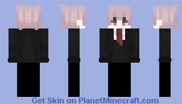 matching Minecraft Skin